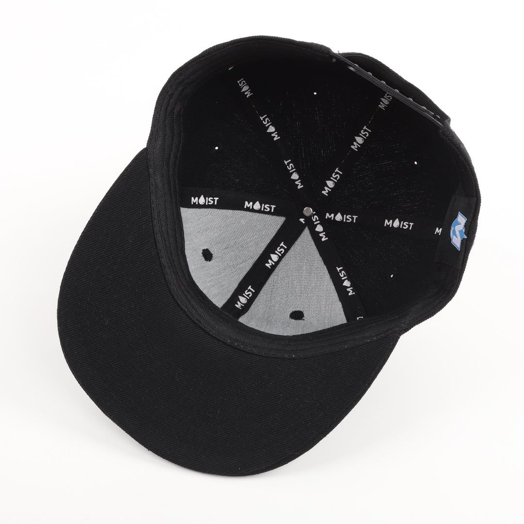 Moist Snapback Hat – Moist Penguinz0
